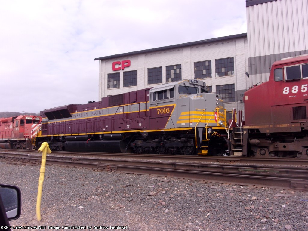CP 7016